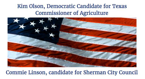 Meet the Candidates luncheon - Grayson County Democratic Party